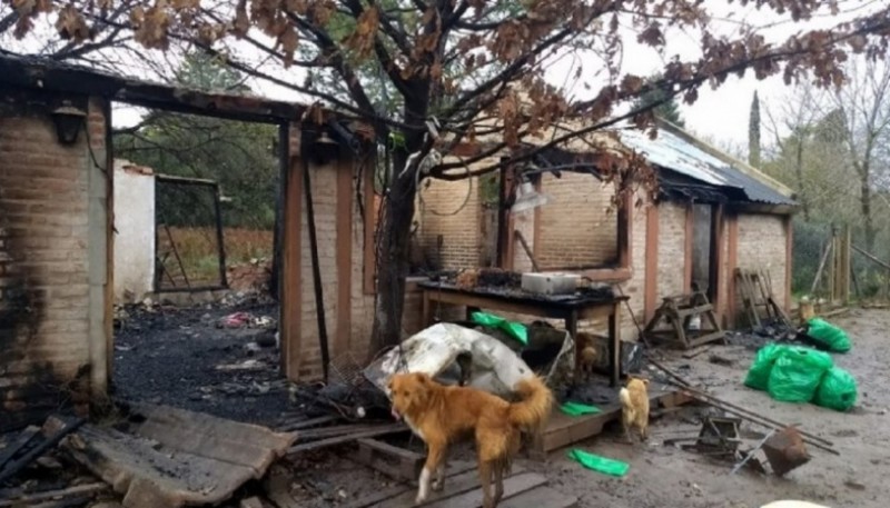 Más de 50 perros murieron calcinados durante el incendio de un refugio